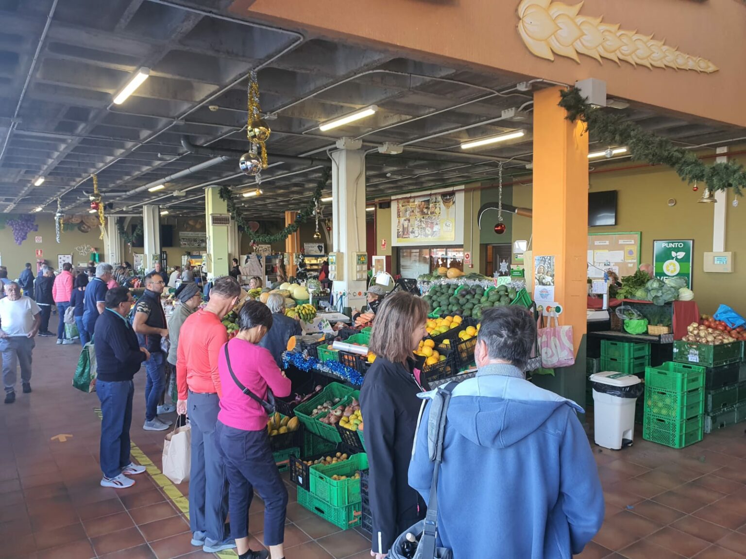 El Mercado del Agricultor de La Guancha celebra su XIII aniversario ...